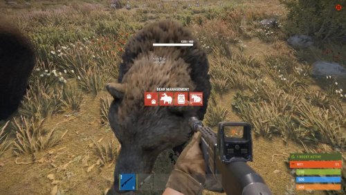 IQBearRide - Plugins - Codefling