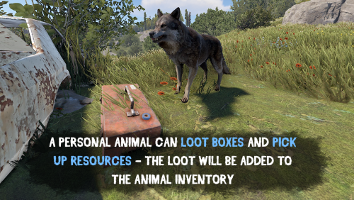 Personal Animal - Plugins - Codefling