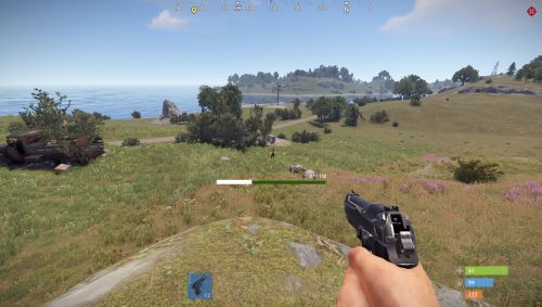 NPC Health Bar - Plugins - Codefling