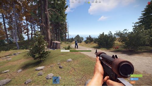 NPC Health Bar - Plugins - Codefling